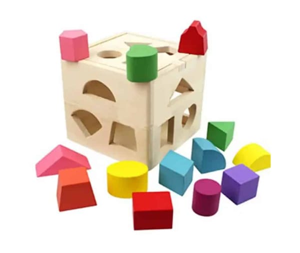 Shape Sorter - Educational Toy – www.edutoys.lk